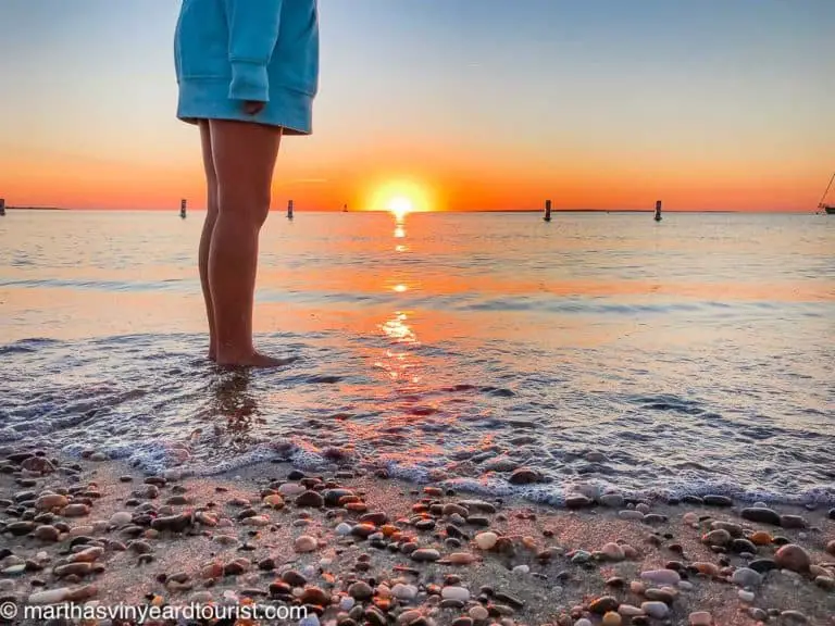The 10 Best Martha's Vineyard Beaches