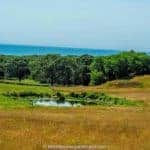 The 6 Fabulous and Unique Towns of Martha’s Vineyard - Martha's ...