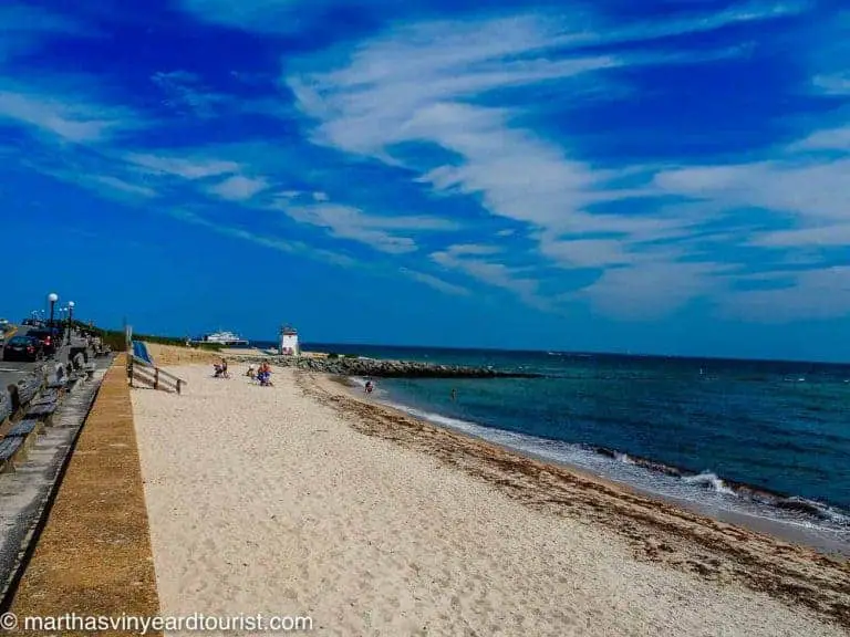 The 10 Best Martha's Vineyard Beaches