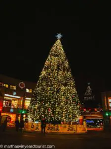 15 Festive Things To Do in Boston At Christmas