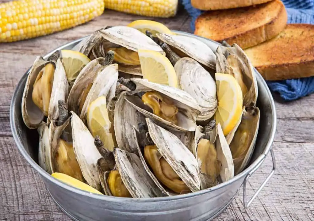 All You Need To Know About Cape Cod Clambakes (+ Clambake Party Recipes)