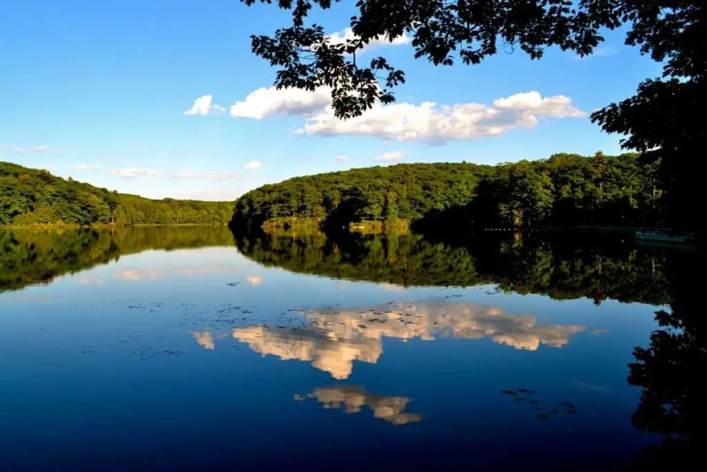 12 Great State Forests In Massachusetts For Year Round Fun!