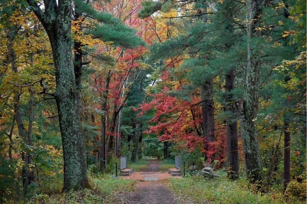 Haunted New England: 7 Must-Visit Haunted Places in Massachusetts