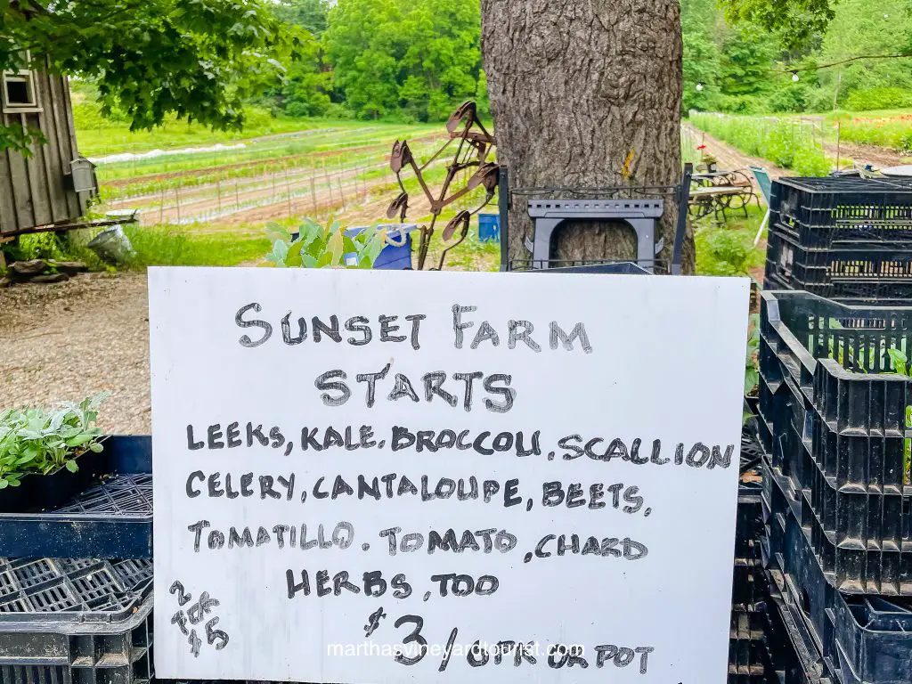 Things to do in Amherst MA (+ Where To Stay and To Eat)