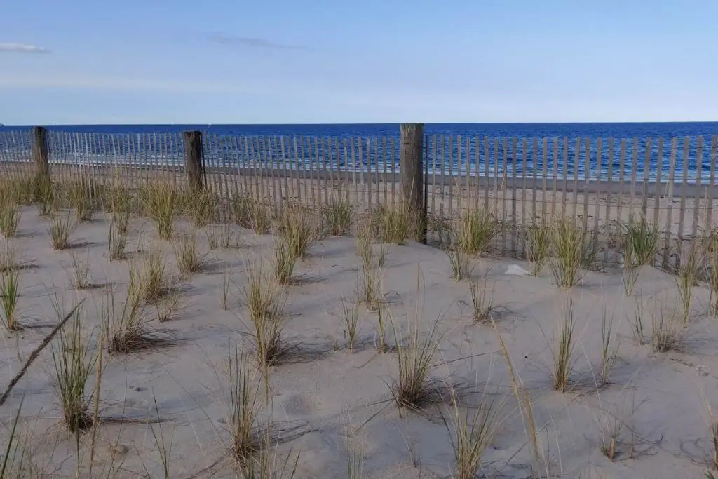 A Guide To the South Shore of Massachusetts For First-Time Visitors